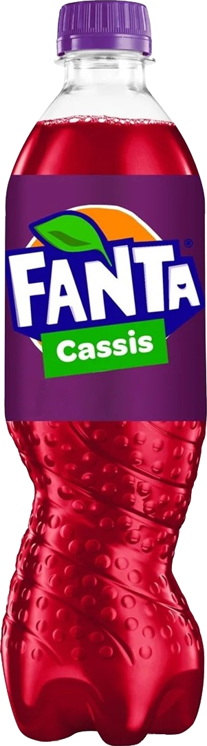 Fanta Cassis (12 x 500 ml) fles-2